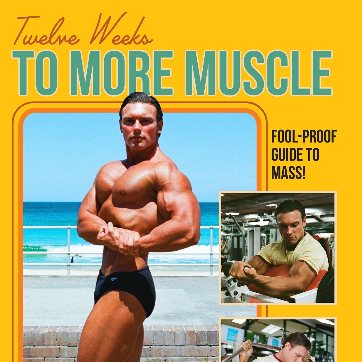 12 Weeks To More Muscle – More Than Muscle