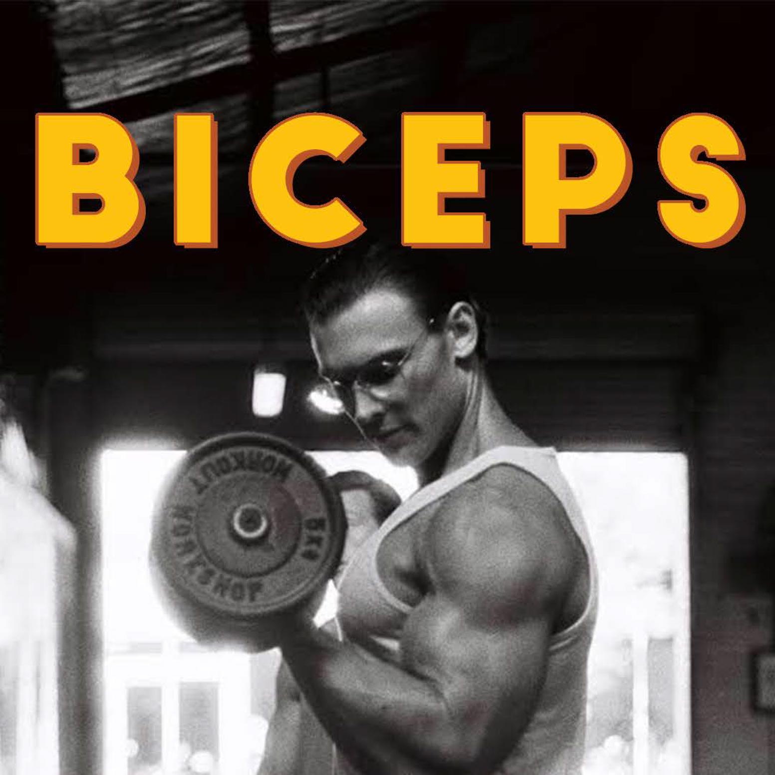 Biceps Training Manual – More Than Muscle